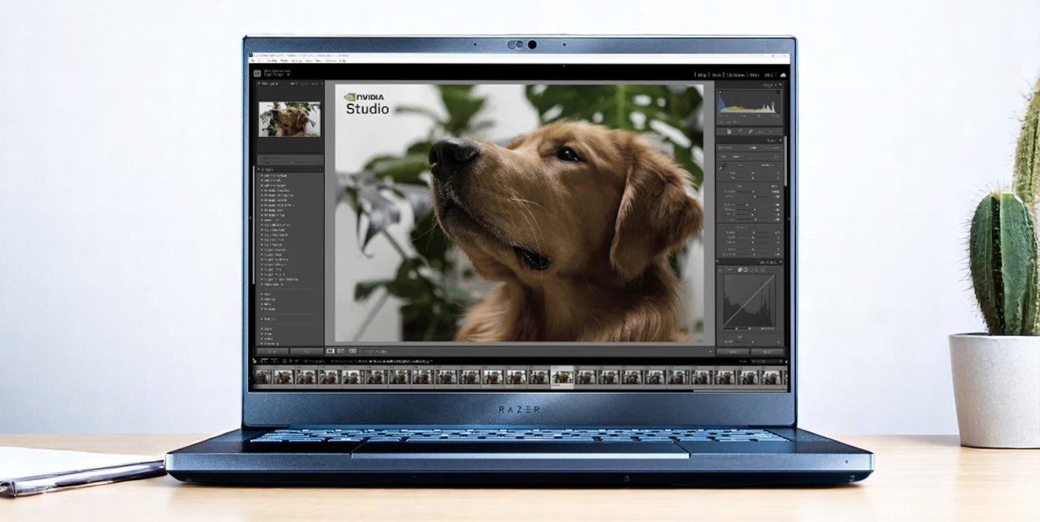 Best Thin and Light Gaming Laptops: 7 Top Models You Need to Know (2025 ...